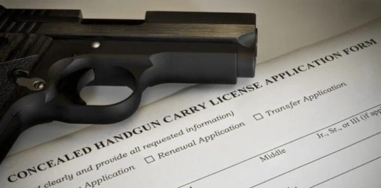 Restoring My Gun Rights in Michigan - Davis Law Group, PLLC
